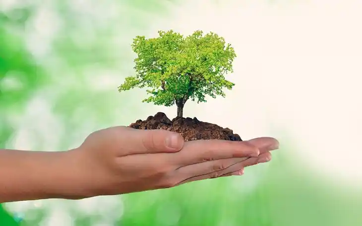 Programa Por El 5 De Junio Día Mundial Del Medio Ambiente 2024